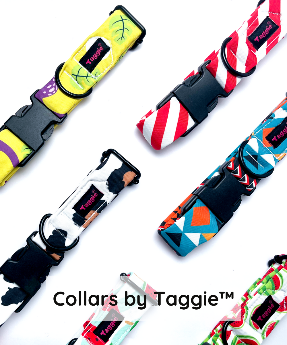 Taggie: Best Personalised Pet Store – Taggie Pet Store